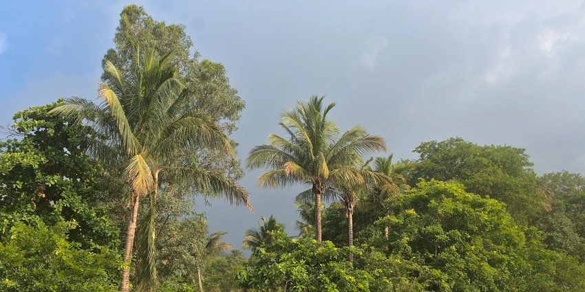 10 Places To Visit In Ulhasnagar On Your Trip To Maharashtra - TripXL