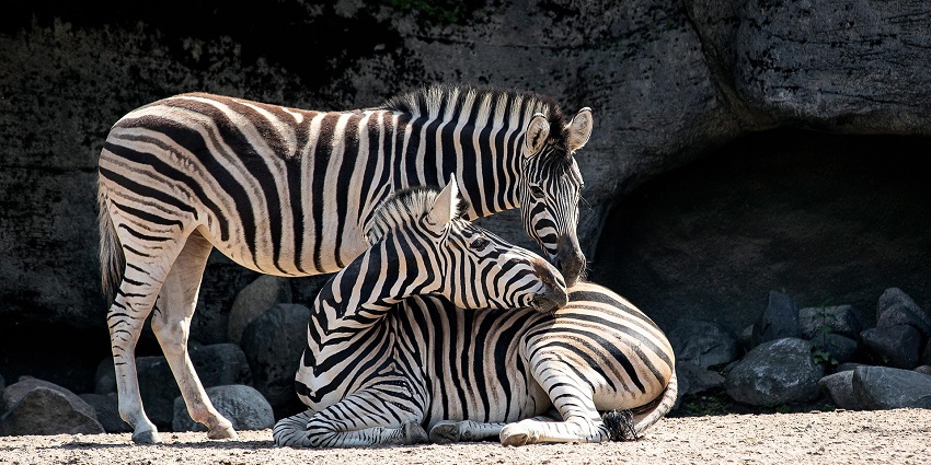 13 Places To Visit In Coimbatore For A Quaint Experience - TripXL