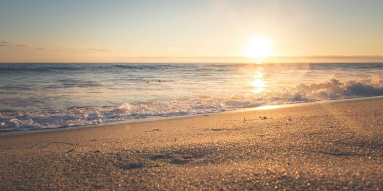 Places To Visit In Vengurla: A Tranquil Coastal Retreat - TripXL