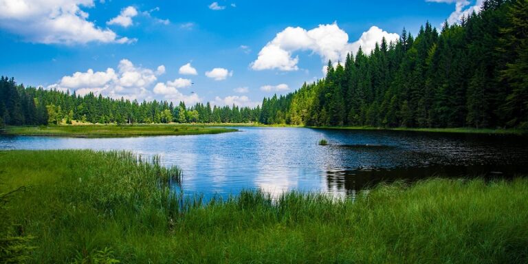 Places To Visit In Velachery: Tamil Nadu’s Serene Cities - TripXL