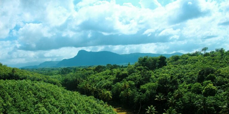 Places To Visit In Megamalai For A Scenic Retreat In Nature - TripXL