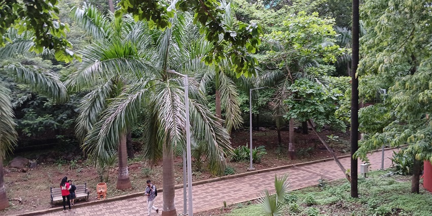 Things To Do In Powai: How To Indulge In Best Experiences - TripXL