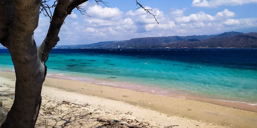 West Bali National Park: Discover Nature's Hidden Gem - TripXL