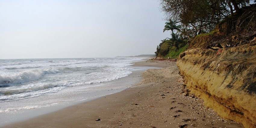 Enjoy Kayaking In Varkala For A Perfect Getaway In Nature - TripXL