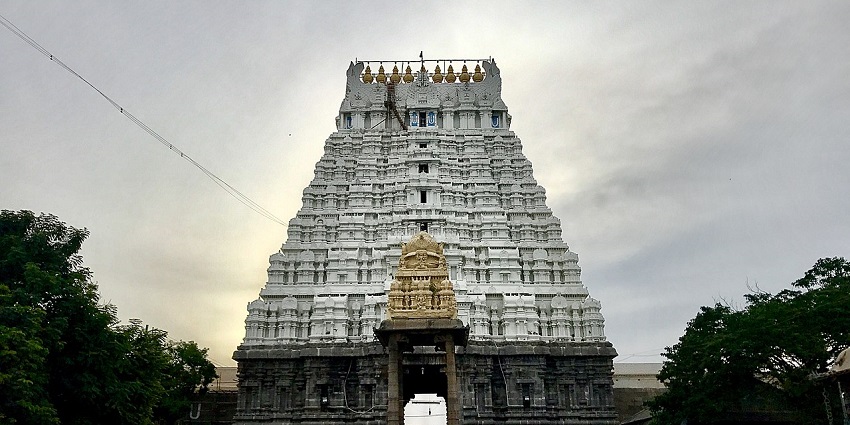 Lizard Temple In Kanchipuram: A Unique Blend Of Culture And Faith - TripXL