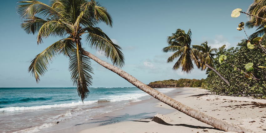 Places To Visit In Divar Island: Explore Goa's Hidden Gem - TripXL