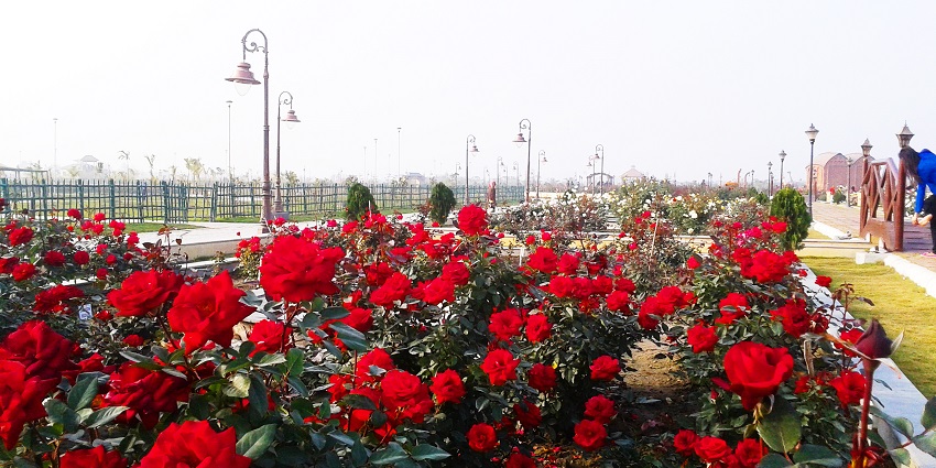 Nature Park Kolkata: A Perfect Picnic Destination In Kolkata - TripXL