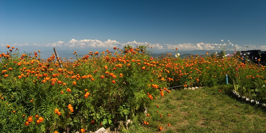 10 Places To Visit In Ranikhet And Around For A Great Trip - TripXL