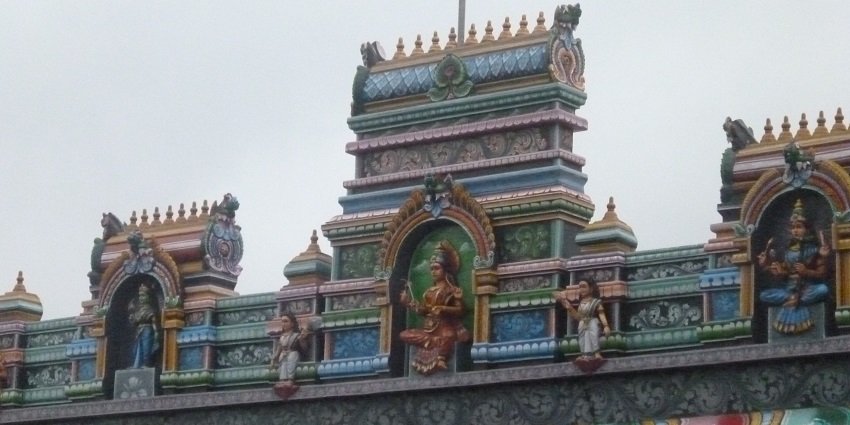 Sathyamangalam Wildlife Sanctuary: A Haven For Nature Lovers - TripXL