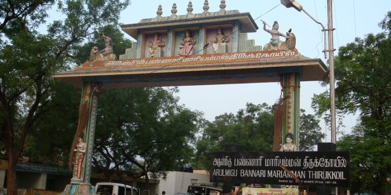 Sathyamangalam National Park: A Glimpse Of Flora & Fauna - TripXL