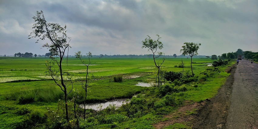 10 Places To Visit In Malda: Discover The Cultural Legacy - TripXL
