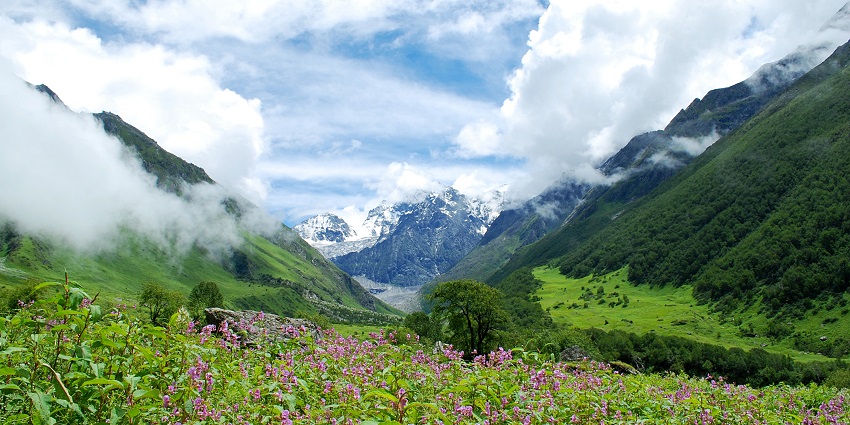 Trekking in Mussoorie - Your Next Adventure Awaits! - TripXL