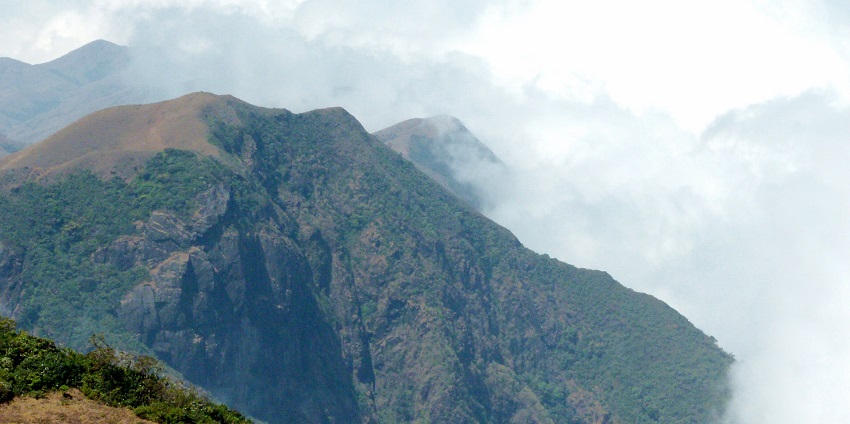 Mukurthi National Park: Haven for Biodiversity and Adventure - TripXL