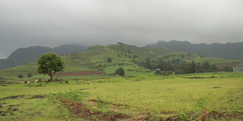 Thalaiyar Waterfalls: All You Need To Know Before Visiting - TripXL