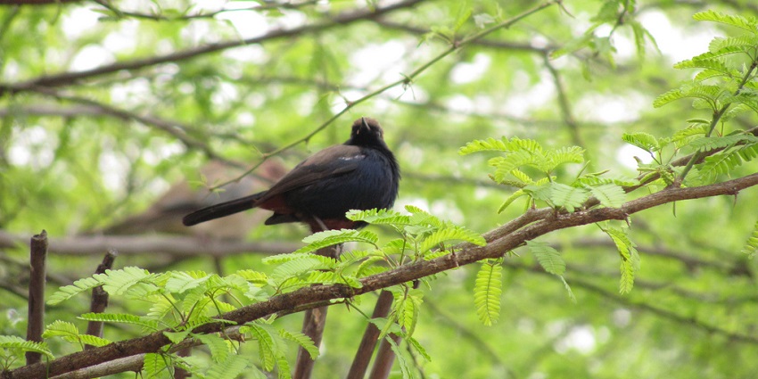 10 Best Places To Visit Near Rohtak: Exploring Haryana - TripXL