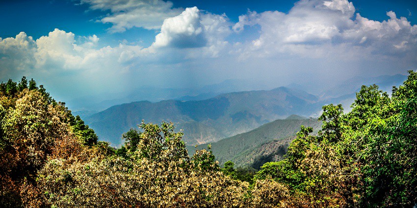 Binsar Wildlife Sanctuary: Discover The Wilderness - TripXL