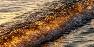 19 Popular Beaches Near Coimbatore For A Weekend Getaway - TripXL