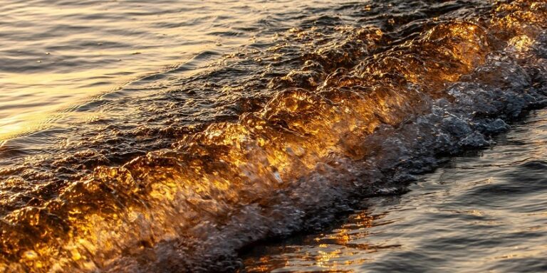 19 Popular Beaches Near Coimbatore For A Weekend Getaway - TripXL