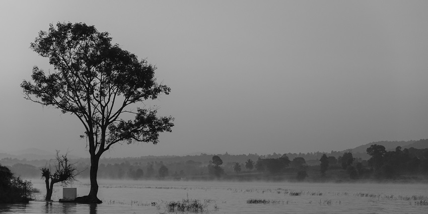 Top 7 Places To Visit Near Coorg For A Relaxing Vacation - TripXL