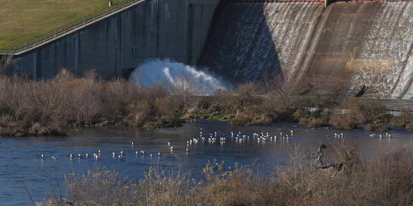 Rajaji National Park Jungle Safari: Explore Wildlife - TripXL