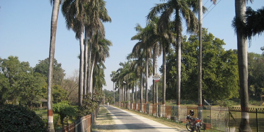 Places To Visit In Saharanpur: Explore Unmissable Spots - TripXL