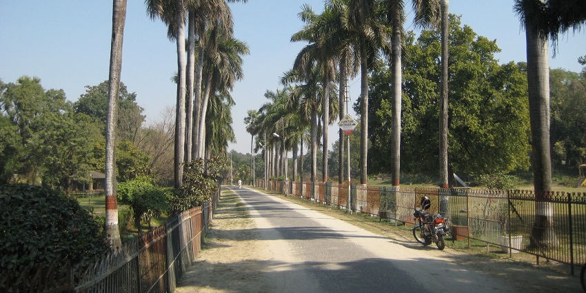 Top 13 Things To Do In Saharanpur For Enduring Charm - TripXL