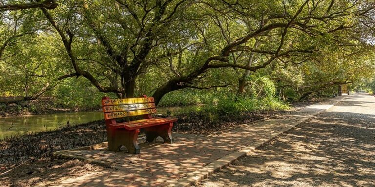 11 Best Places to Visit In Yanam: Explore And Enjoy - TripXL