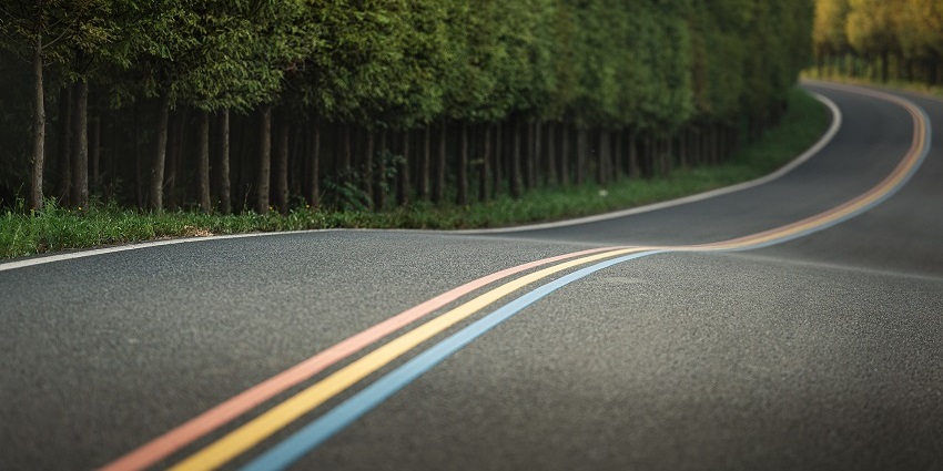 Explore 8 Most Popular Things To Do In Yercaud, Tamil Nadu - TripXL