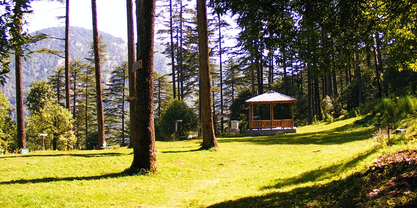 Things To Do In Dhanaulti: A Complete Guide For Visitors - TripXL