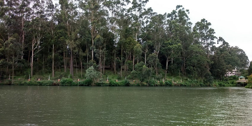 Kalhatty Waterfalls: An Enchanting Natural Retreat In The Nilgiris - TripXL