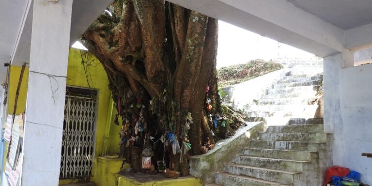 Shevaroy Temple: Divine Retreat In The Hills Of Tamil Nadu - TripXL