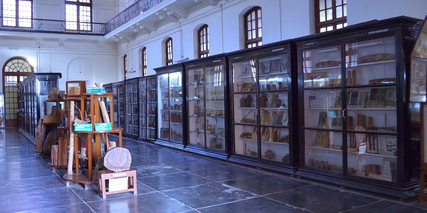 Explore The Top Science Museums In Dehradun, Uttarakhand - TripXL