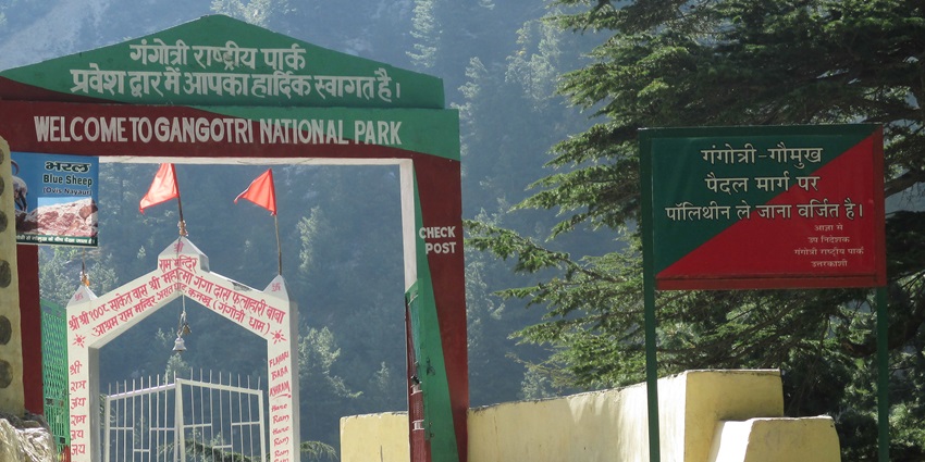 Harsil Valley In Winter: A Winter Wonderland In Himalaya - TripXL