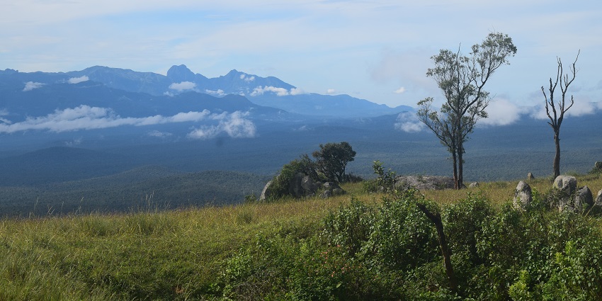 Sathyamangalam Wildlife Sanctuary: A Haven For Nature Lovers - TripXL