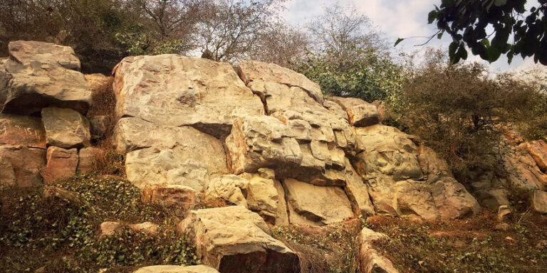 Gokul Temple: Spiritual Abode Of Lord Krishna In Gokul - TripXL