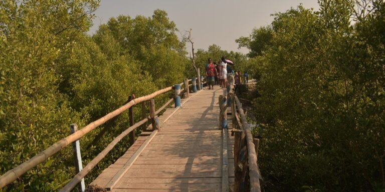 8 Places To Visit In Bakkhali For A Perfect Getaway - TripXL