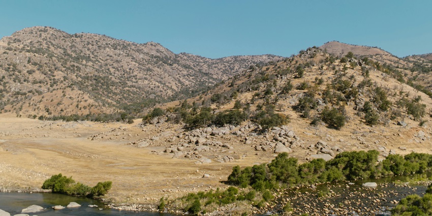 Pilibhit National Park: A Wonderful Haven For Wildlife - TripXL