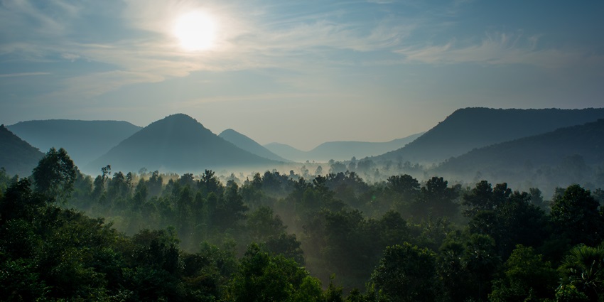 Guide To Sohagi Barwa Wildlife Sanctuary: A Wild Adventure - TripXL