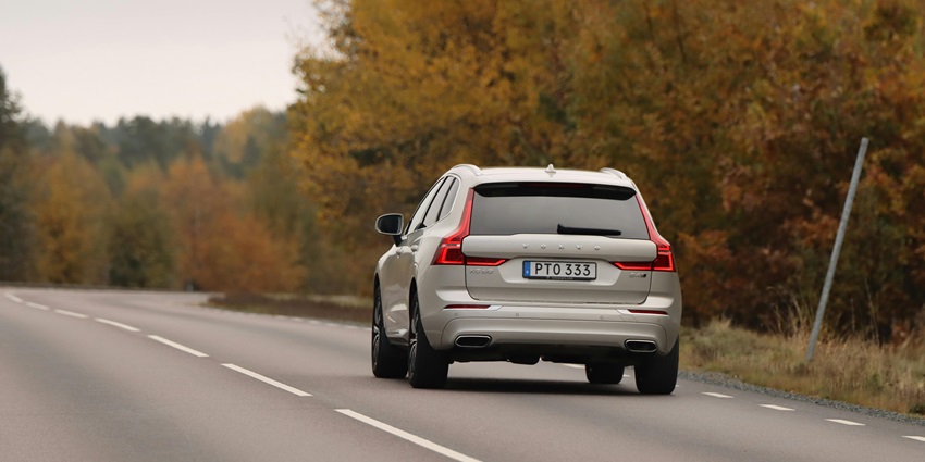 Visit Point Calimere Wildlife Sanctuary: A Wildlife Haven - TripXL