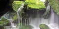 Siruvani Waterfalls: One Of The Most Scenic Waterfalls - TripXL