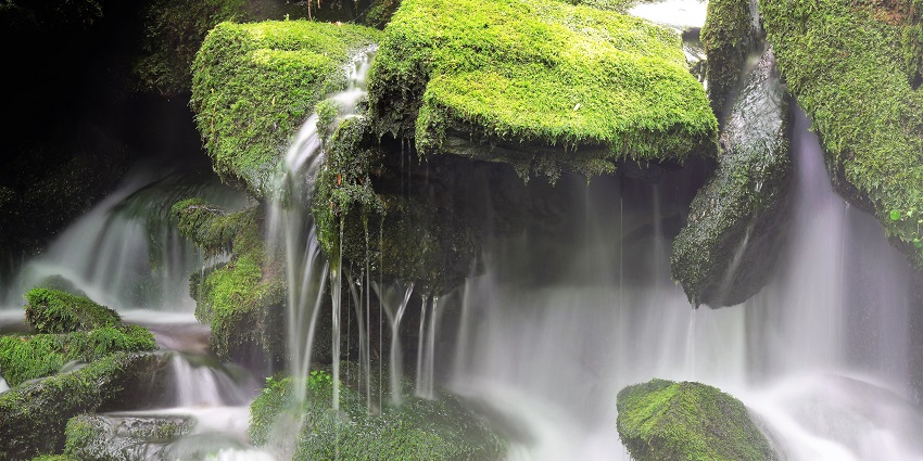 Siruvani Waterfalls: One Of The Most Scenic Waterfalls - TripXL