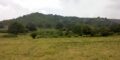 Places To Visit In Tiruvannamalai: Your Ultimate Guide - TripXL