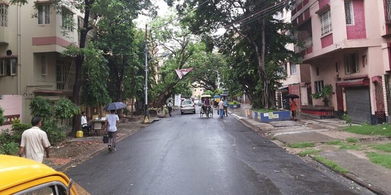 10 Nature Parks In Kolkata: A Escape From The Busy Citylife - TripXL