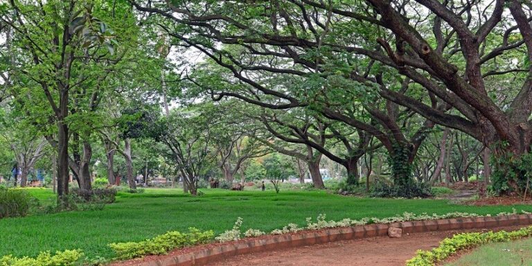 Walkeshwar Temple: A Sacred Gem Amidst Malabar Hills - TripXL
