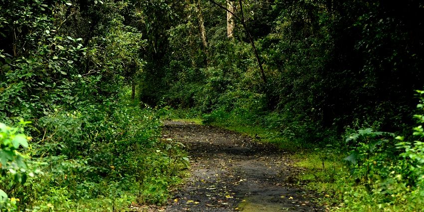 Kollimalai Temple In Tamil Nadu: Discover The Sacred Beauty - TripXL