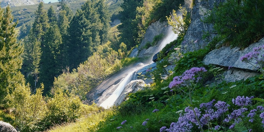 14 Best Places to Visit In Tirupur: Explore And Enjoy - TripXL