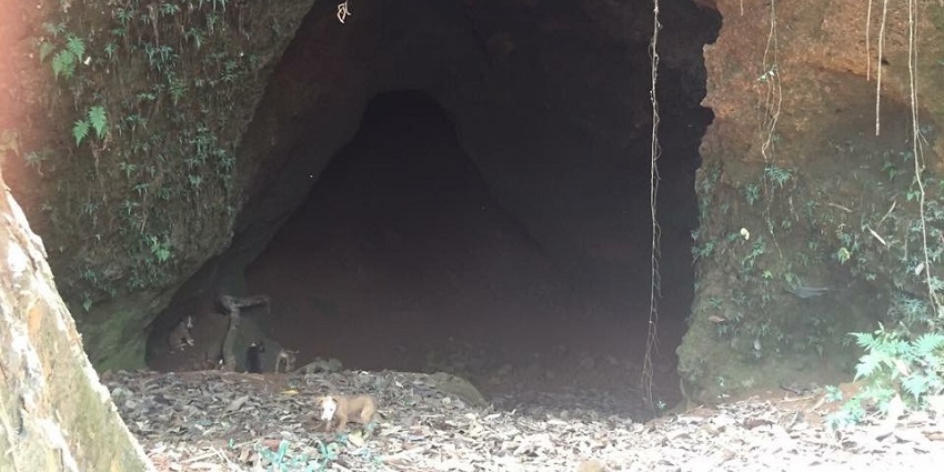 Places To Visit In Divar Island: Explore Goa's Hidden Gem - TripXL