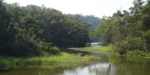 Places To Visit In Kushalnagar: Karnataka’s Serene Cities - TripXL