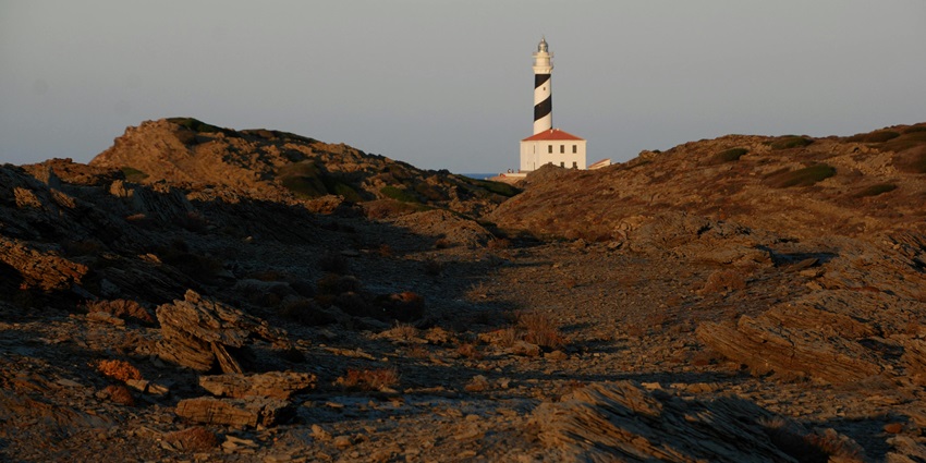 7 Places To Visit In And Near Diamond Harbour: A Quick Getaway - TripXL