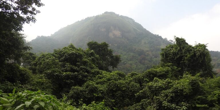 Dharmalingeshwarar Temple: A Pilgrimage To The Spiritual Peaks - TripXL